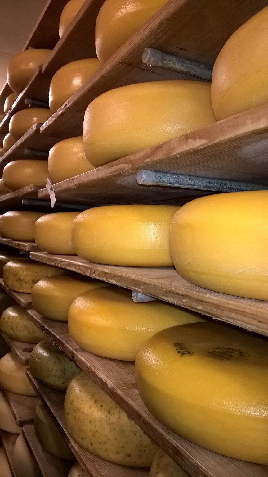 Dutch Cheese: A Beginner's Guide to Types, History, and Pairings - A ...